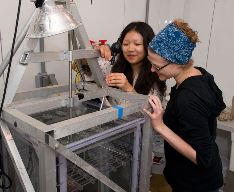 The Swimming Behavior of Larval Oysters - WHOI Sea Grant