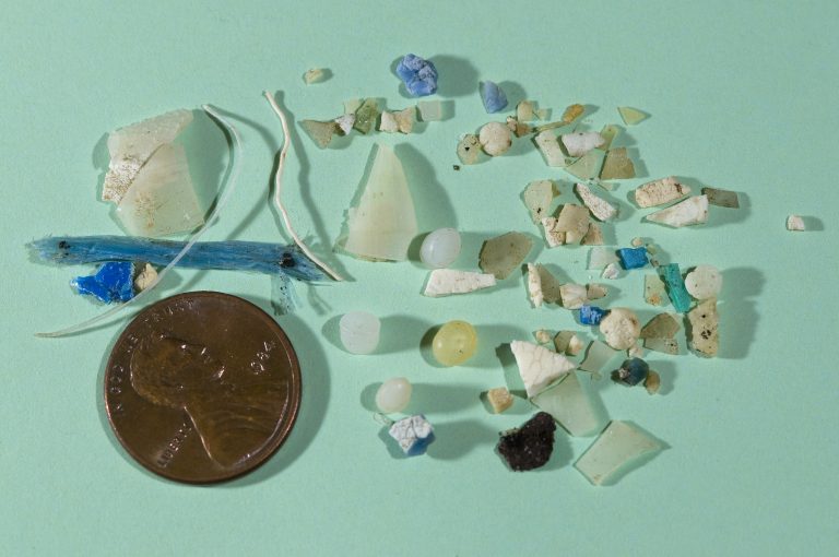 Microplastics in the Marine Environment - WHOI Sea Grant