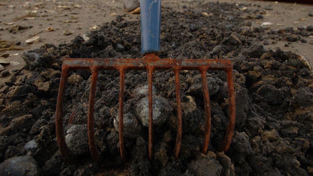 COVID-19 Resources - WHOI Sea Grant