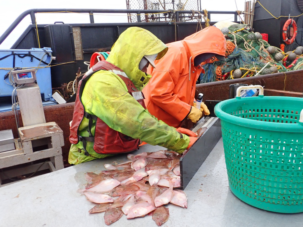Some Like It Hot, Some Like It Cold: Monitoring Fish and Ecosystems ...