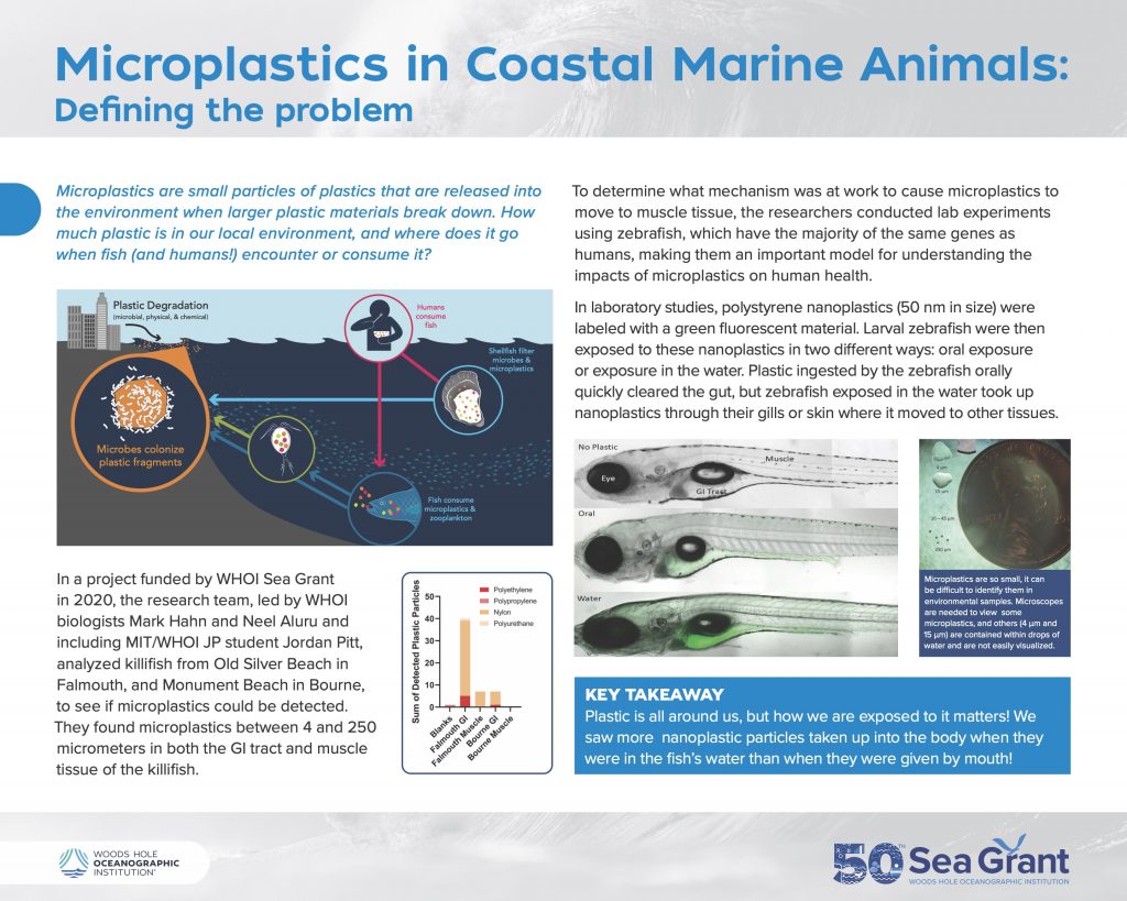 Microplastics Poster – WHOI Sea Grant