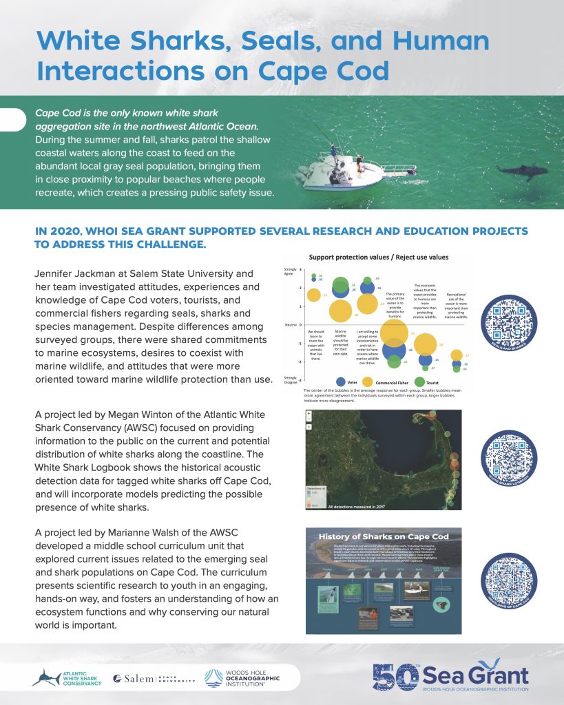 Sharks Poster – WHOI Sea Grant