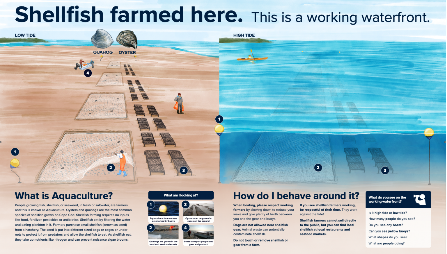 Working Waters Made Clear: New beach signs explain local aquaculture ...