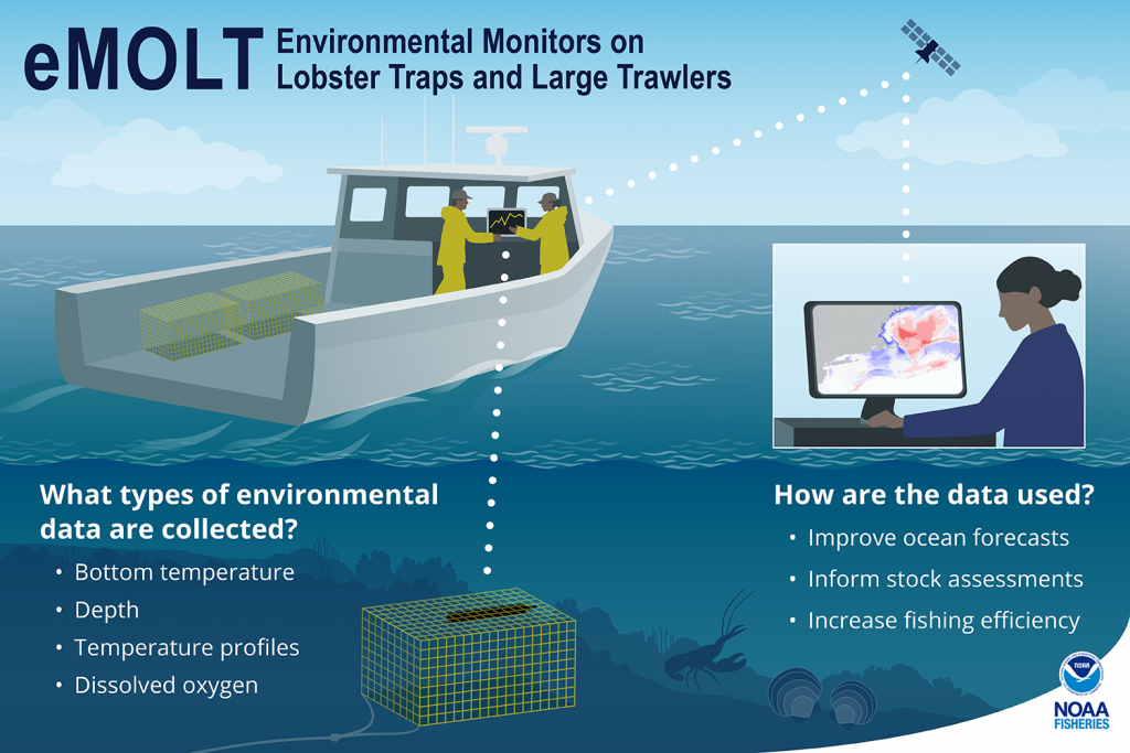 Teacher Workshop: January 23, 2026 - WHOI Sea Grant